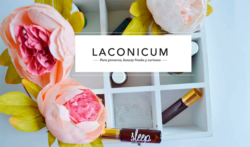 Succeesful eCommerce case: Laconicum